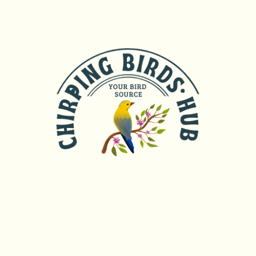 Best Birdwatching Spots